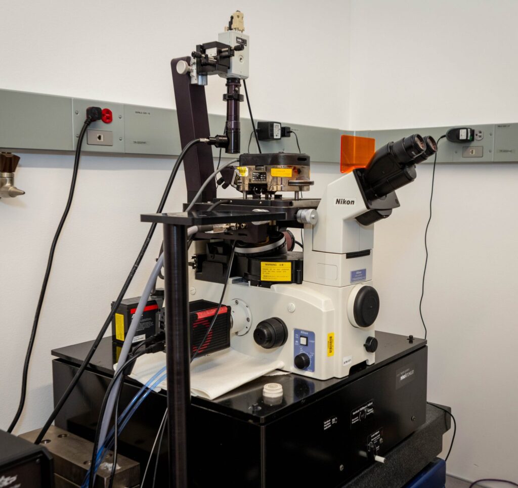 Atomic Force Microscopy – COR²E – UConn Center for Open Research ...