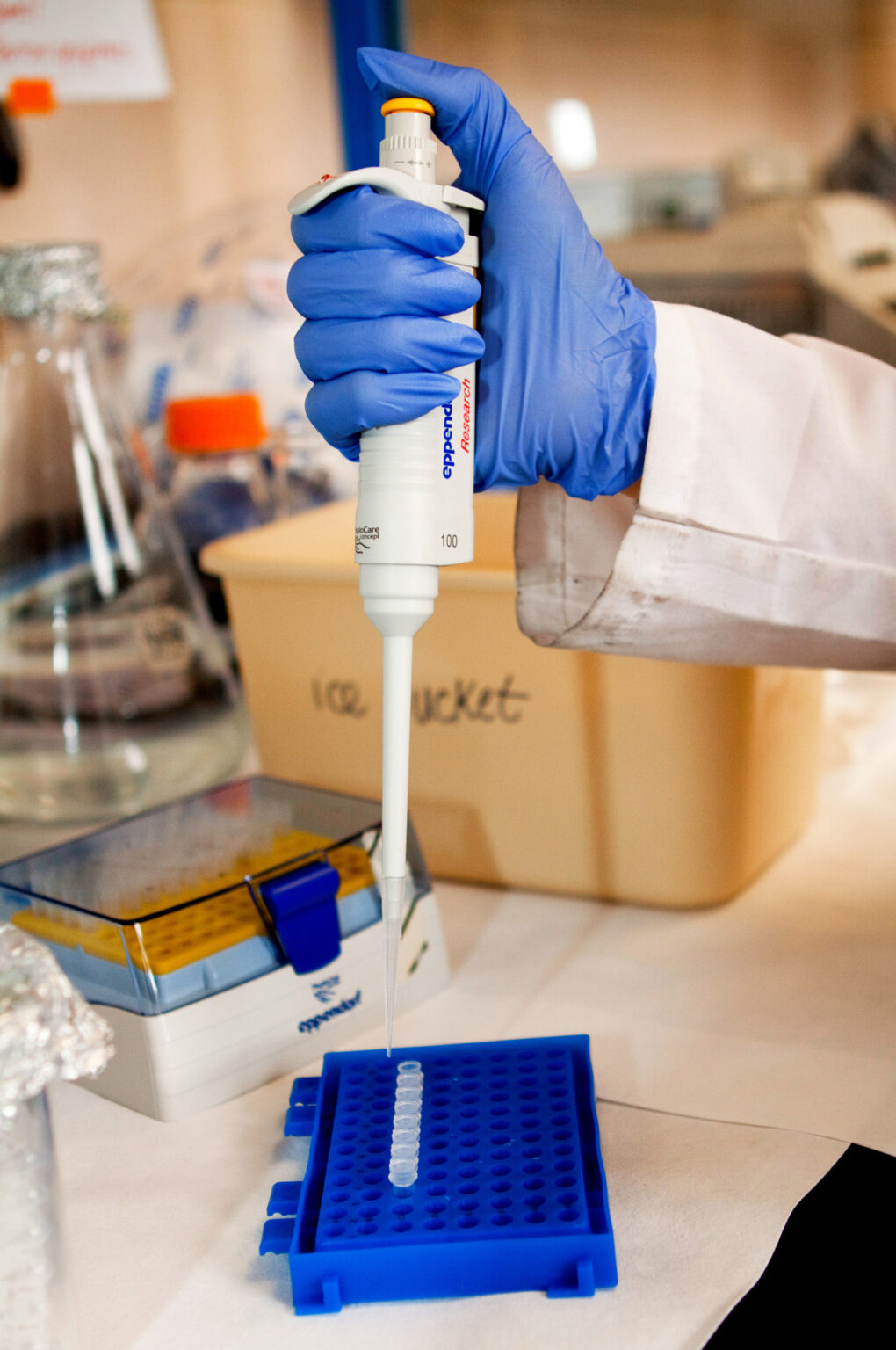 Molecular Core Facility – COR²E – UConn Center for Open Research ...