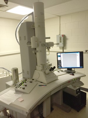 Central Electron Microscopy Facility (CEMF) – COR²E – UConn Center for ...