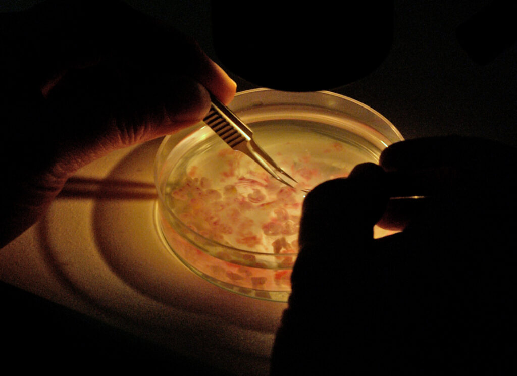 Research Tissue Repository Core Facility – COR²E – UConn Center for ...