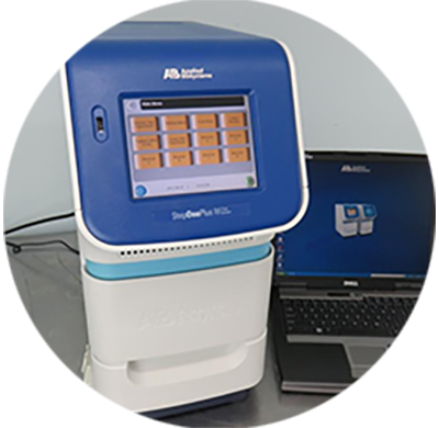 Center for Advancement in Managing Pain (CAMP) – COR²E – UConn Center ...