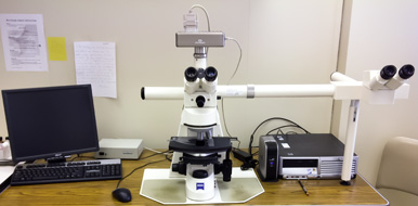 Research Histology Core – COR²E – UConn Center for Open Research ...