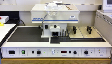 Research Histology Core – COR²E – UConn Center for Open Research ...