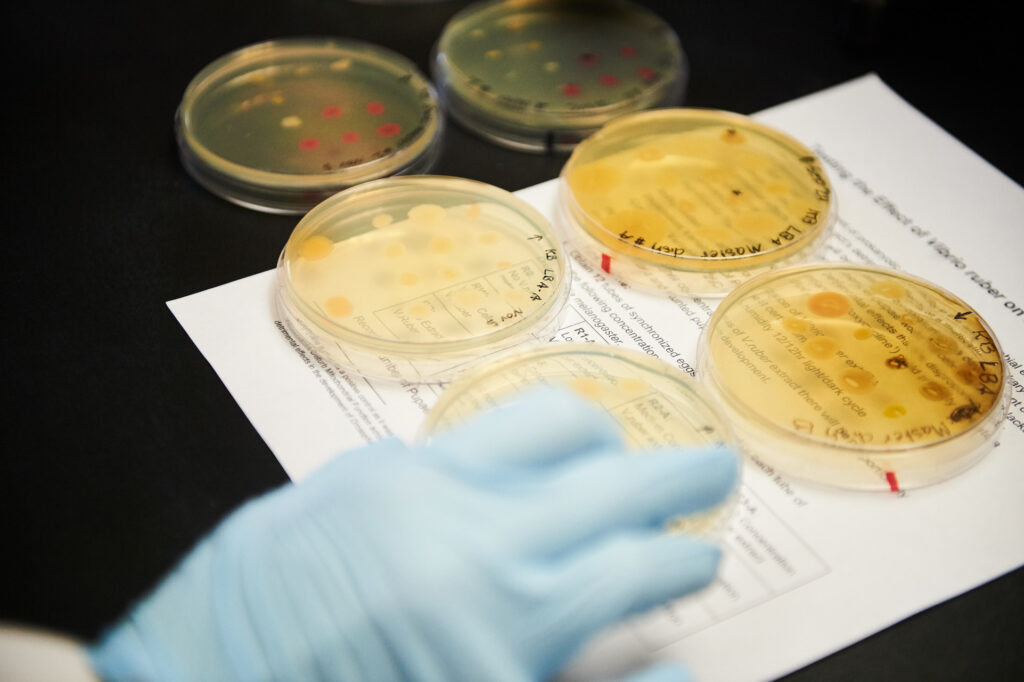 Research Histology Core – COR²E – UConn Center for Open Research ...